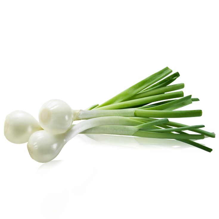 CEBOLLA BLANCA TIERNA ECOLÓGICA - Finca Cultiva Salud