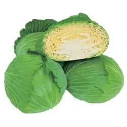 COL REPOLLO ECOLÓGICA - Finca Cultiva Salud