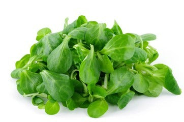 CANÓNIGOS ECOLÓGICOS - Finca Cultiva Salud